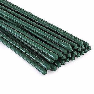 Xiny Tool Garden Stakes, 25 Pack Steel Plant Garden Tomato Stakes with Plastic Coat for Climbing Plants (25 Pack 60 Inch)