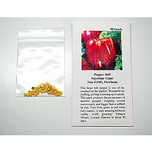 David's Garden Seeds Pepper Bell Keystone Giant 1188 (Red) 25 Non-GMO, Heirloom Seeds