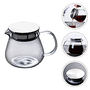 HEMOTON Microwave Tea Kettle Glass Teapot with Stainless Steel Infuser Stovetop Safe Tea Kettle Microwave Dishwasher Safe Tea Pot Loose Leaf Tea Maker 460ml Tea Pot (EI633HAD355QB015T), 15X10X9CM