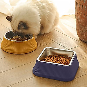 pet Dog Supplies Double Square Round Pet Bowl,pet Food and Water Feeder,Made of Stainless Steel,Dog and Cat Feeding Accessories Kit Water Bottle (Size : Double Bowl Blue)