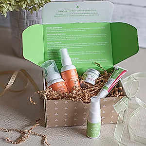 Earth Mama A Little Something for Baby Gift Set Safe Skin Care Essentials for Newborn Baby Shower, 5-Piece Set (Packaging May Vary)