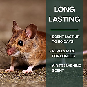 Mouse Repellent Pouches, Extra Strength 60% Oil, Repel Mice Rodent from Nesting in Car/Boat/RV/Grill/Pool Heaters/Campers, Deterrent for House/Garage, 10 Scent Pouches (Herbal Mint Scent)