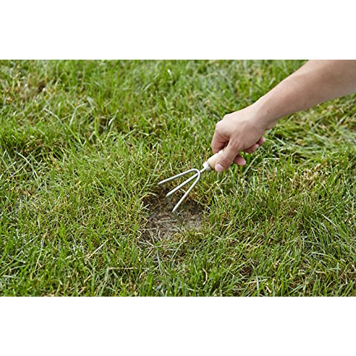 Scotts EZ Patch Lawn Repair For St. Augustine Lawns - 3.75 lb., Ready-to-use Mulch, and Fertilizer Lawn Repair, Repairs St. Augustinegrass, Does Not Contain Grass Seeds, Covers up to 85 sq. ft.