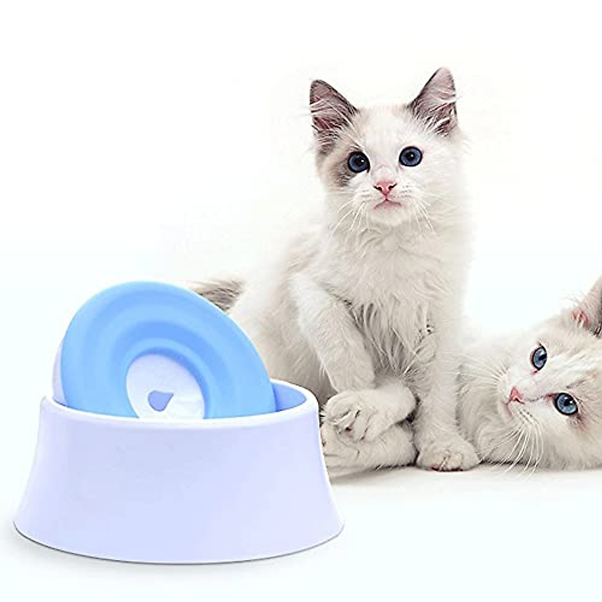 FUUIE Bowls for Food and Water Pet SuppliesDog BowlsPet Buoyancy Feeding BowlSplash-Proof Cat Bowl SuppliesAutomatic Drinking FountainsDog Kettles (Color : Blue)