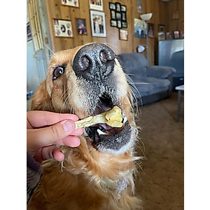 Lamb Trotter Dehydrated Dog Treats Glucosamine Lamb Treats for Dogs Chondroitin Hips and Joints Lean Hypoallergenic Protein Rawhide Free Safe Bones Alternative to Duck Feet Lamb Ears (12 to 16 Pieces)