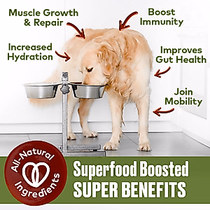 Furvor Mobility Support Beef Bone Broth for Dogs | Hip & Joint Support for Dogs | Glucosamine & Amino Acid Boosted | Human Grade Ingredients | Just add Water | Made in USA, 16 oz
