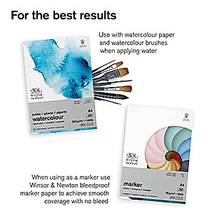 Winsor & Newton ProMarker Watercolor Marker Set, 12 Count, Basic Tones