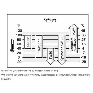 Briggs & Stratton 3-Pack 100169 15W-50 Quarts Full Synthetic Vanguard Engine Oil and Fuel Treatment