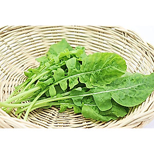 Astro Arugula Lettuce Seeds for Planting,1000+ Heirloom Seeds Per Packet, (Isla's Garden Seeds), Non GMO Seeds, Botanical Name: Eruca vesicaria SSP. Sativa, Great Home Garden Gift