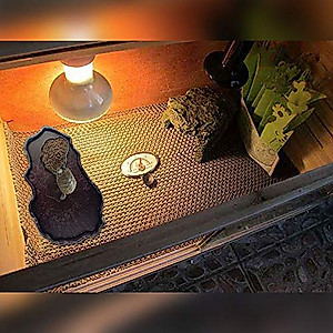 Tfwadmx Reptile Food and Water Bowl Set Luminous Bearded Dragon Dishes Tortoise Feeder Lizard Habitat Large and Small Amphibian Feeding Plates Terrarium DéCor for Turtle Gecko Snake Tegu Iguana 2 Pcs