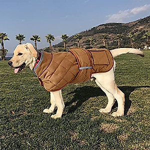 ASENKU Dog Coat for Winter Waterproof Dog Winter Coat Dog Jacket, Dog Hunting Vest for Small Medium and Large Dogs with Pocket & Zipper Leash Hook