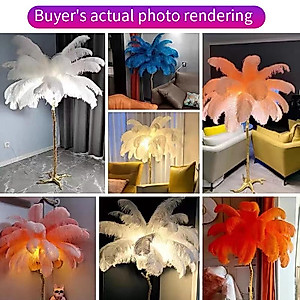 CEPHOK 66.8 inches Natural Ostrich Feather Floor Lamp, Warm and Romantic Apright Floor Lamp, Living Room, Study, Bedroom, Office, Home Decoration Floor Lamp (Pink)