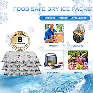 RAINBOW Dry Ice Packs for Shipping Long Lasting (8 Sheets, 12 Packs/Sheet), Reusable Lightweight Food Ice Pack Sheets for Lunch Boxes or Coolers, Shipping Frozen Food, 7" X 13" – Cut to Any Size