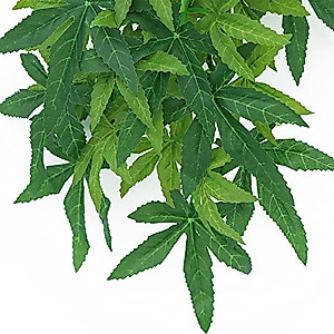 AQUA KT Reptile Plant Jungle Vine with Suction Cup for Snake Lizard Bearded Dragon Climbing Terrarium Habitat Decoration, 12 Inch Length, Green