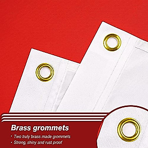 Deluxe 3x5 Medical Dispensary flag 3'x5' Grommets