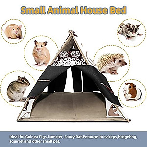 RATGDN Small Pet Hideout Dinosaurs Two Color Doodle Hamster House Guinea Pig Playhouse for Dwarf Rabbits Hedgehogs Chinchillas