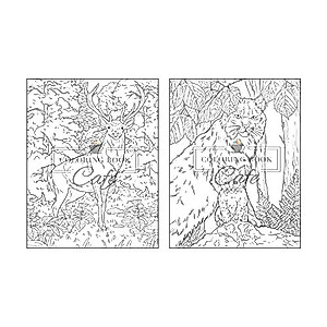100 Wildlife Scenes: An Adult Coloring Book Featuring 100 Most Beautiful Wildlife Scenes with Animals, Birds and Flowers from Oceans, Jungles, Forests and Savannas