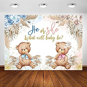 Avezano Boho Bear Gender Reveal Backdrop He or She Party Decorations Pink or Blue Pampas Grass Gender Reveal Party Photography Background Bohemian Bear Gender Reveal Decorations Photoshoot (7x5ft)