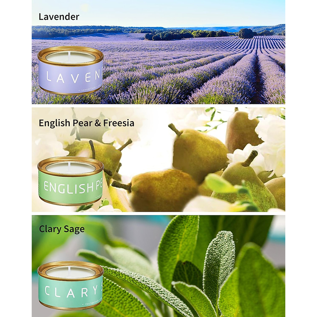 VTS Candles for Home Scented, 6 Pack Aromatherapy Candles (Lavender, Vanilla, English Pear & Freesia, Neroil, Clary Sage, Jasmine Sambac), Candles Gift Set for Stocking Stuffers, Christmas, Birthday