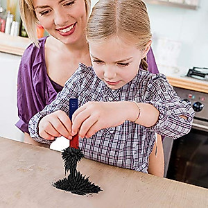 SPACECARE Magnetic Iron Powder Filings for Magnet Education and School Projects, Storage Jar (12 Ounces) with Shaker Lid, 1 Pack