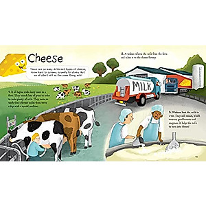 Where Does My Food Come From?: The story of how your favourite food is made