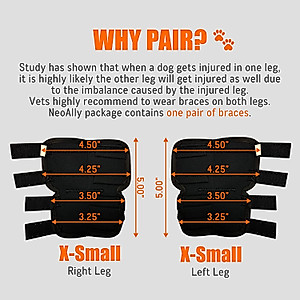 NeoAlly Pair Dog Rear Leg Brace Canine Rear Hock Joint Support with Safety Reflective Straps for Joint Injury and Sprain Protection, Wound Healing and Loss of Stability from Arthritis (M Pair)