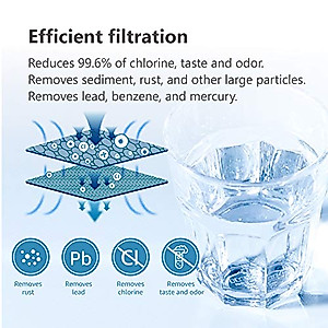 Waterspecialist FXHTC Whole House Carbon Water Filter, Replacement for GE FXHTC, GXWH40L, GXWH35F, Culligan RFC-BBSA, American Plumber W10-PR, W10-BC, WRC25HD, 10" x 4.5", 5 Micron, Pack of 2