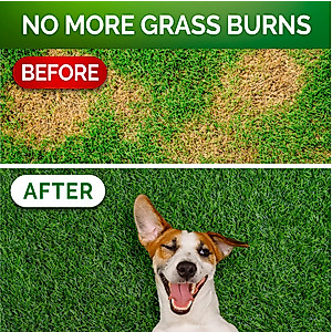 Grass Burn Spot Chews for Dogs - Dog Urine Neutralizer for Lawn - 120 Grass Green Dog Chews - Grass Savers for Dog Urine - Dog Pee Grass Neutralizer with Probiotics - Digestive Enzymes - Made in USA