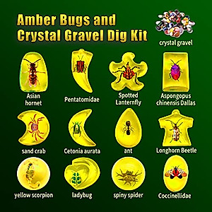 Amber Dig Kit Includes Excavate 12Pcs Insect Ambers and Many Crystal Stones As Fun Geology Science STEM Educational Bugs Toys for Science Educational (Bugs)