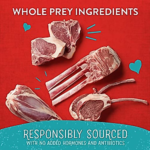 Stella & Chewy's Freeze-Dried Raw Lamb Wild Weenies Dog Treats, 3.25 oz Bag