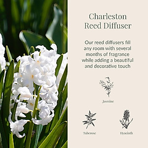 Archipelago Botanicals Charleston Reed Diffuser, Home Fragrance Reed Diffuser, Includes Fragrance Oil, Frosted Glass Vessel & 10 Diffuser Reeds, Perfect for Home, Office or Gift, 7.6 Fl Oz