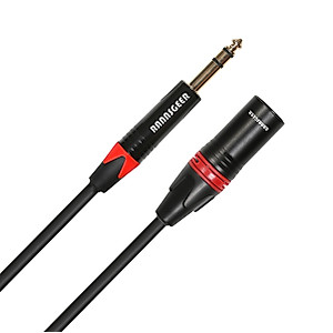 Rannsgeer 2 Pack 1/4 Inch TRS to XLR Male 1 Feet Cable (1 Ft 2 Pack)