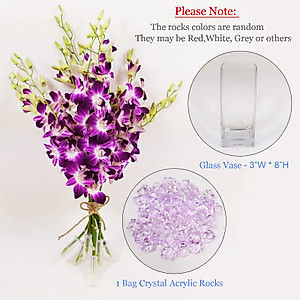 Athena’s Garden Fresh Cut Orchids Purple 10 Stems Sonia Dendrobium Orchids Flowers with Vase and Rocks