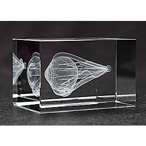 Eye 3D Laser 1lb Crystal, Anatomy, Ophthalmology
