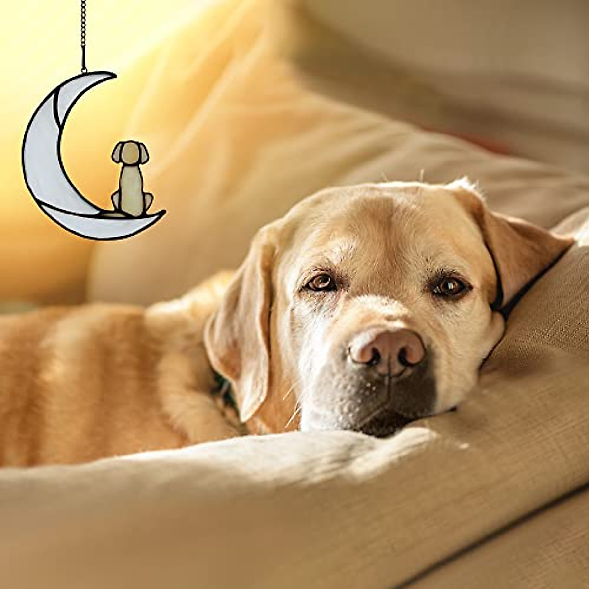 BOXCASA Loss of Dog Sympathy Gift,Stained Glass Dog on Moon for Suncatcher Gifts,Yellow Dog Memorial Gifts for Pet Loss Gifts,Pet Sympathy Gifts for Dogs,Pet Memorial Gifts