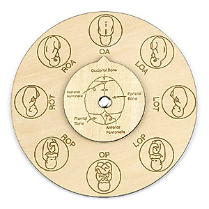 Midwife fetal position tool, carved wooden fetal position wheel for student midwife doctor doula (Round)