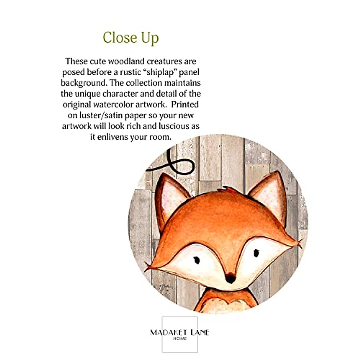 Woodland Nursery Decor for Boys - Animal Pictures Wall Art - Baby Room Animal Prints on Shiplap Background - Bear Deer Fox Raccoon Owl Squirrel Decor - Set of 6 PRINTS - 8x10 - UNFRAMED