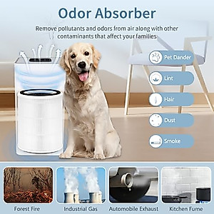 Improvedhand TPAP001 True HEPA Filter Replacement for TOPPIN TPAP001 Comfy Air C2 Air Puri-fier, Replace # TPFF001, 3-IN-1 HEPA and Activated Carbon Filter - 2 Pack