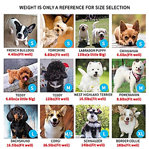 Step in Dog Harness and Leash Set, Adjustable Reflective No Pull Dog Vest Harness Set for Puppy Medium Dog with Bow Collar, Leash and Poop Bag, Medium Blue Camouflage