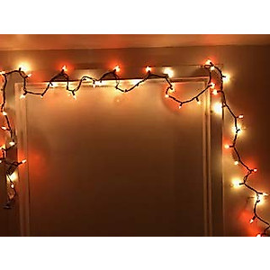 Harvest LED Fairy Lights Fall Mini Lights Amber Orange Golden Yellow Autumn Decor Fairy String Lights Indoor/Outdoor Halloween Parties Garden Patio Thanksgiving Fall Weddings 50 Lights 12 ft (1 Set)