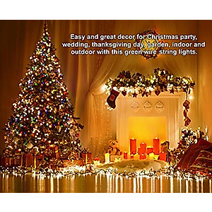 Holiday Time 300 LED String Lights Warm White Mini Lights 61 FT Long Plug in for Indoor Outdoor Christmas Tree Garden Wedding Party Decoration. (1, One Pack)