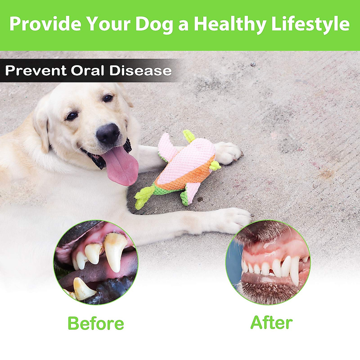 Cute Paws Cotton Plush Squeaky Dog Toys, Interactive Dog Chew Toys, Stuffed Puppy Chew Toys for Teeth Cleaning, Small,Middle,Large Dogs,Fish