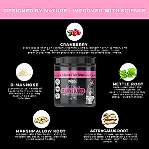 Pet Chef CAT Treats: Cat Bladder Health & UTI Prevention. Reduce, heal & Stop Kidney, Bladder and Painful UTIs. Cat Supplements with Amazing Benefits. Natural, Organic Holisitic Health. Low Calories.