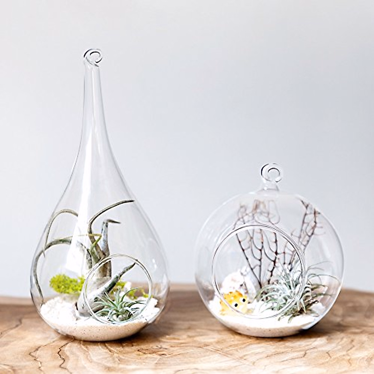 Mkono 2 Pack Glass Hanging Planter Air Fern Holder Terrarium Plants Hanger Vase Home Christmas Decoration Gift Idea for Succulent Moss Tillandsias Air Plants, Globe and Teardrop
