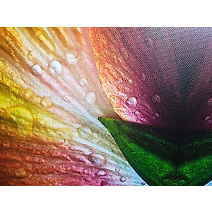 8.5" X 11" Canvas Textured Premium Inkjet Photo Paper - 5 Sheets