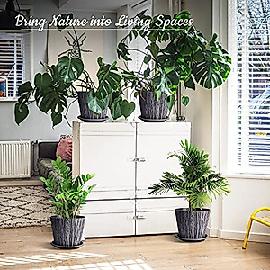 JOFAMY Thickened 8 Inch Plant Pots, 4-Pack Sturdy Plastic Planter with Drainage Holes & Saucers, Large Tree Texture Pattern Indoor Flower Pots & Outdoor Plants Decorative