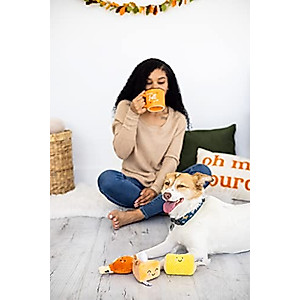Pearhead Thanksgiving Dinner Dog Toys, Set of 3, Plush Dog Toys, Squeaky Dog Toy, Fall Pet Toys