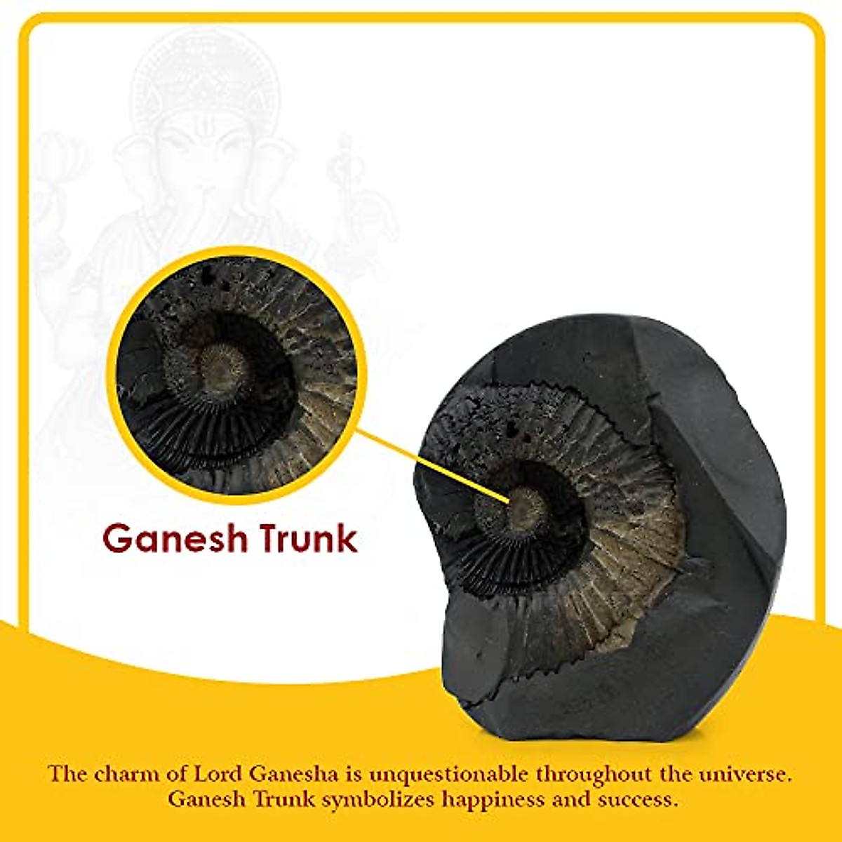 Vedic Vaani Natural Gandaki River Stone Vakratunda Ganesh Shaligram Statue (1 Pc)