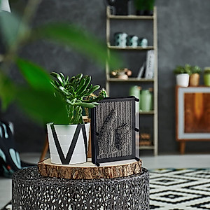 3D Pin Art Toy 6 x 8 Inches, Unique Metal Silver Pin Art Board for Kids,Inspire Imagination & Challenge Sense, Innovative Boundless Creativity for Children & Adults Learning Gift