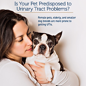 RX Vitamins Cranberry Capsules - Cranberry Supplement for Dogs and Cats - Supports for Urinary Tract Health and Bladder Health - Cat UTI Remedy and Dog UTI Prevention - Boost Immune Support - 90 count